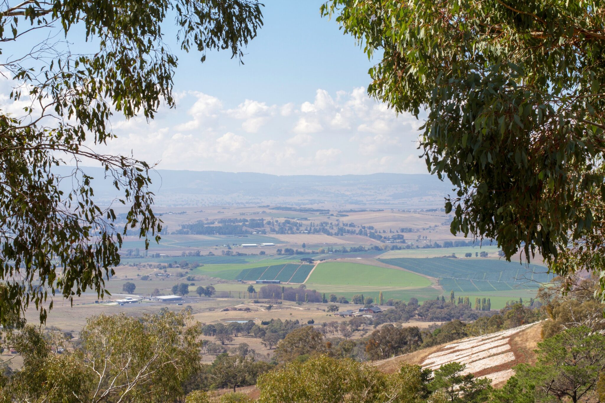 Eureka! The best places to go gold prospecting in Australia | Gold ...